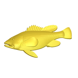 Carveco Maker : Powerful, Affordable Hobby CNC Software